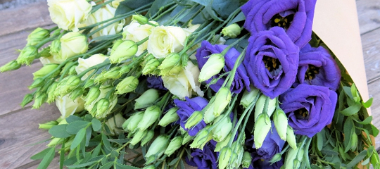 Shop | Flowers by Nattrass | Hurworth | Darlington