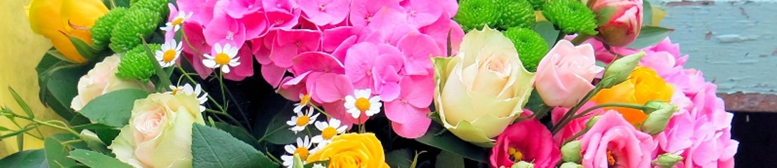 Shop | Flowers by Nattrass | Hurworth | Darlington